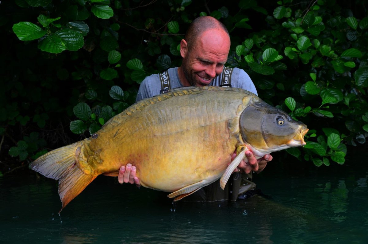 How to catch carps: a few essential tips