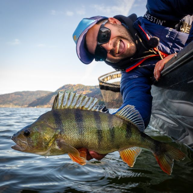 Perch Fishing Guide Ireland: Essential Gear & Techniques | Duo Hook